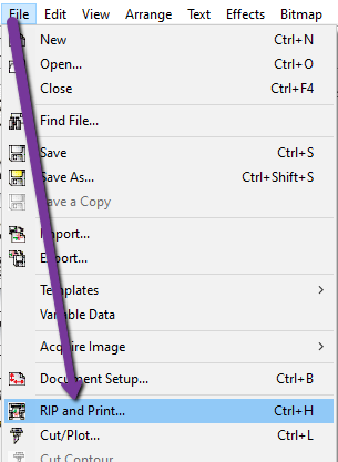 RIP and Print Overview – SA International