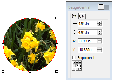 Understanding Vectors and Bitmaps – SA International
