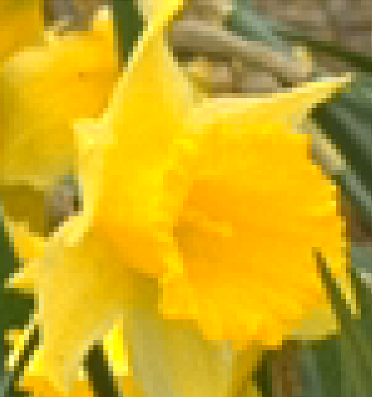 Understanding Vectors and Bitmaps – SA International