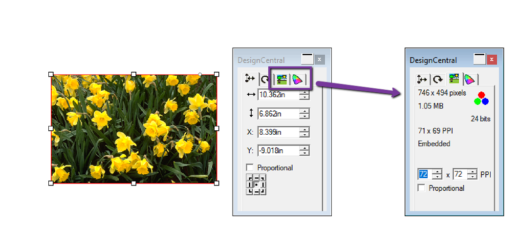 Comprender los vectores y los mapas de bits – SA International (Español)
