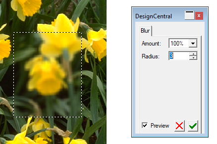 Bitmap Filters – SA International