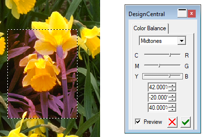 Bitmap Filters – SA International