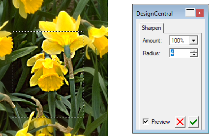 Bitmap Filters – SA International