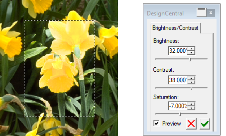 Bitmap Filters – SA International