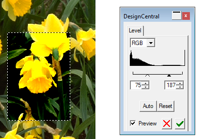 Bitmap Filters – SA International