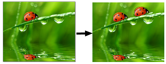 Stamp Tool – SA International